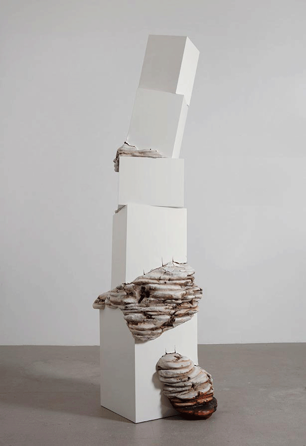 Macrophagus Sculpturalis | Sabine Groß